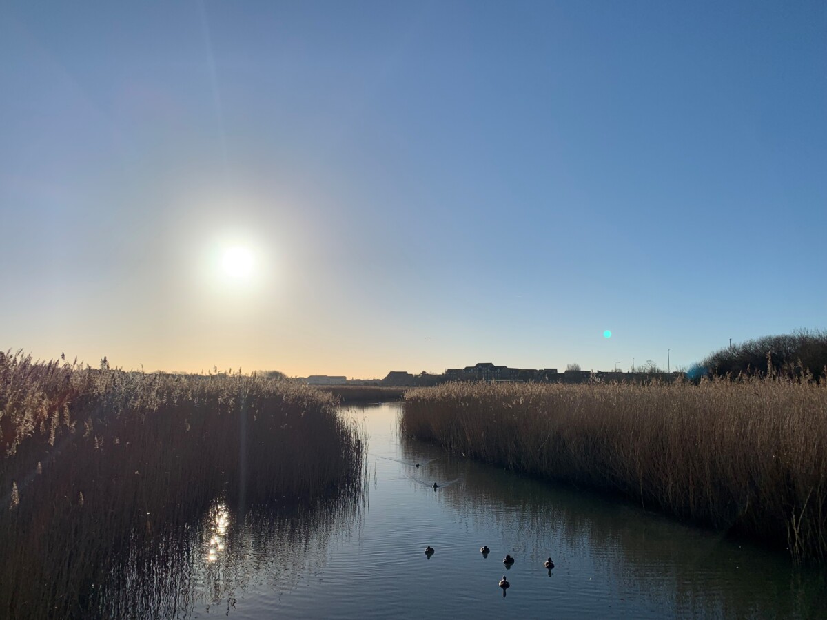Discover RSPB Radipole Lake (Guided Walk) - Love Weymouth Tourist ...