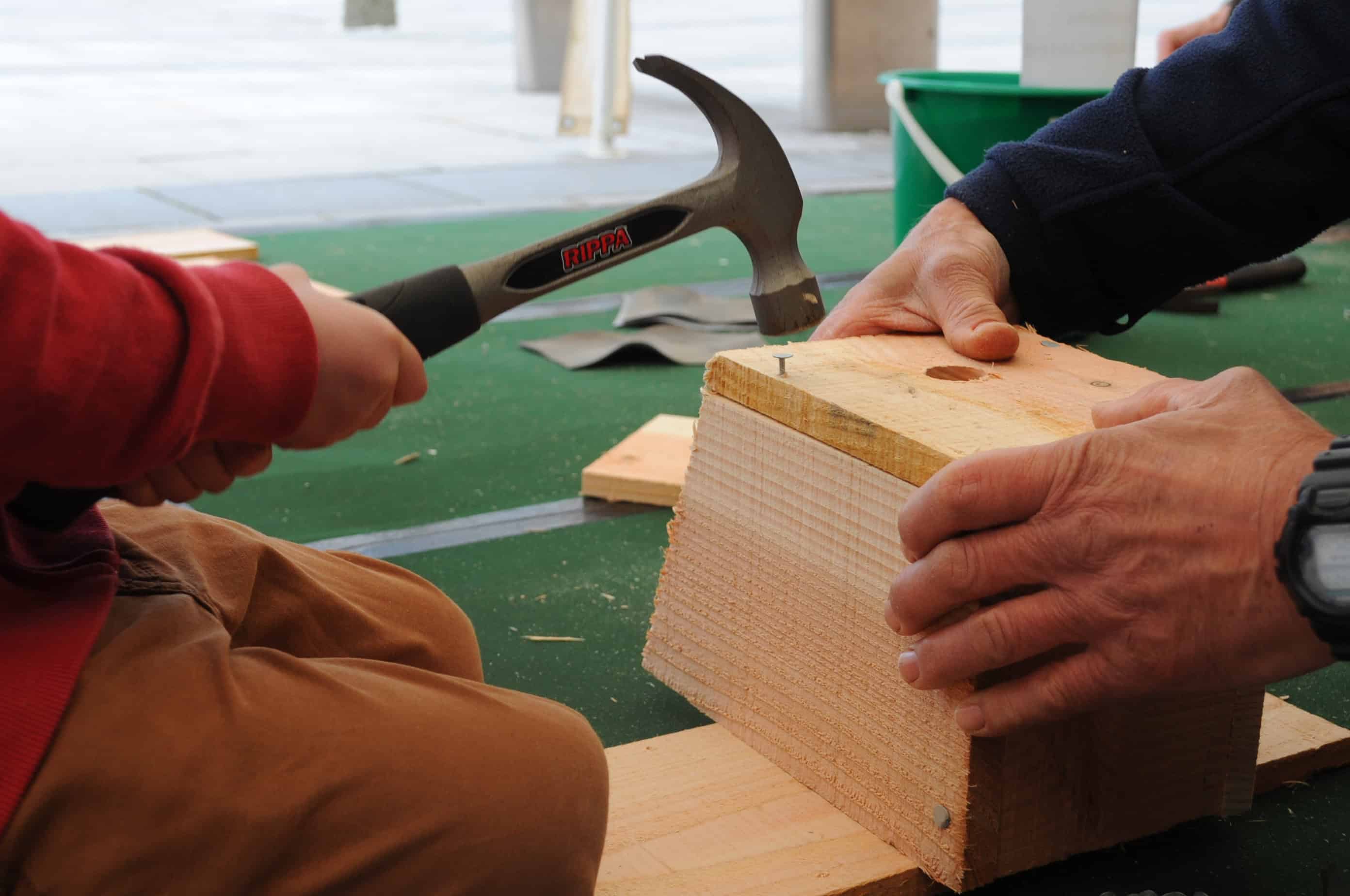 Family Nestbox Making Workshop at Chesil - Love Weymouth Tourist ...